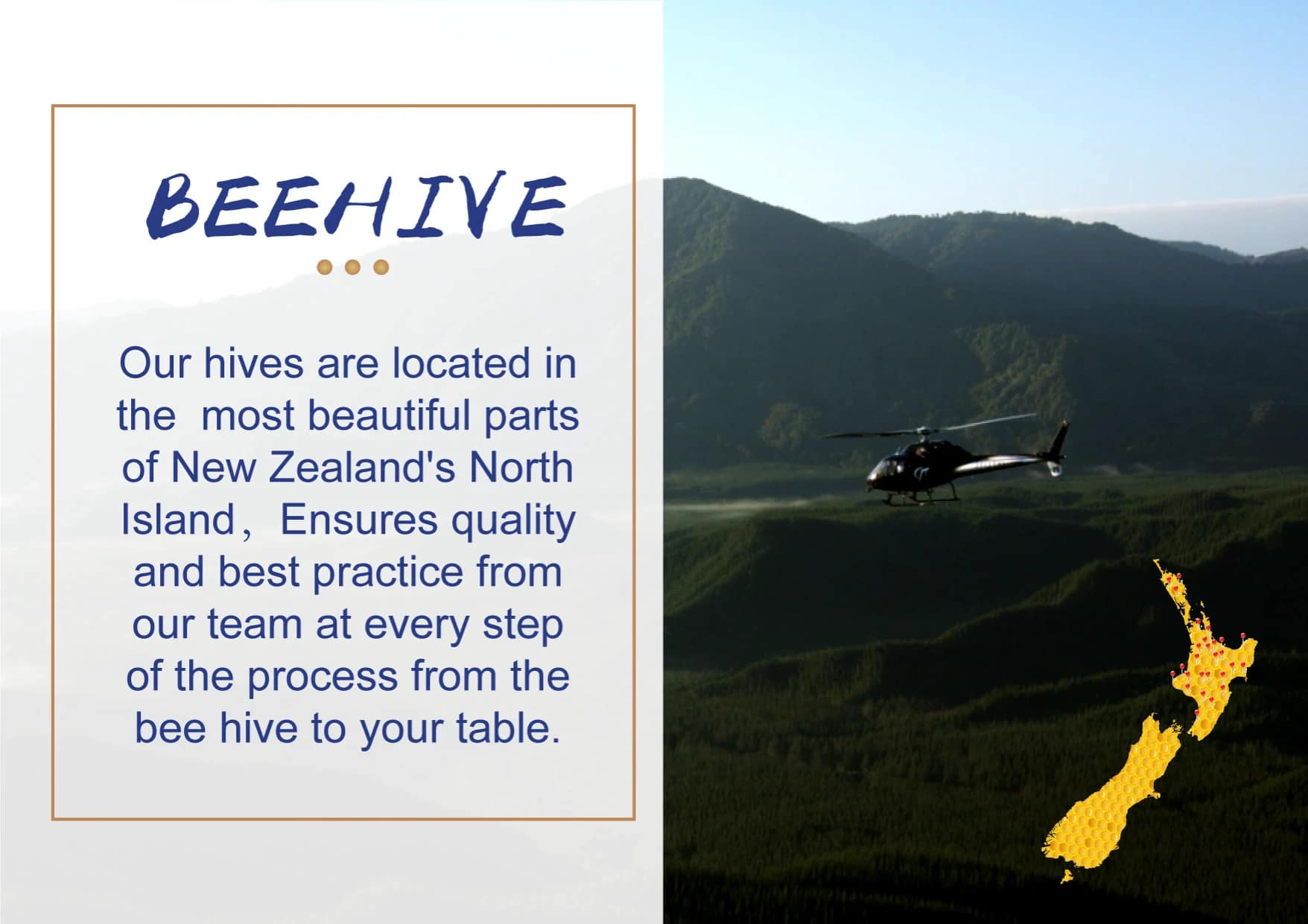 Our Beehives - NZ Bees